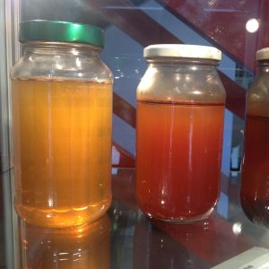 What Is Diesel Fuel Contamination? [Types, Causes & Signs]