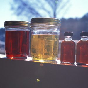 What Is Diesel Fuel Contamination? [Types, Causes & Signs]